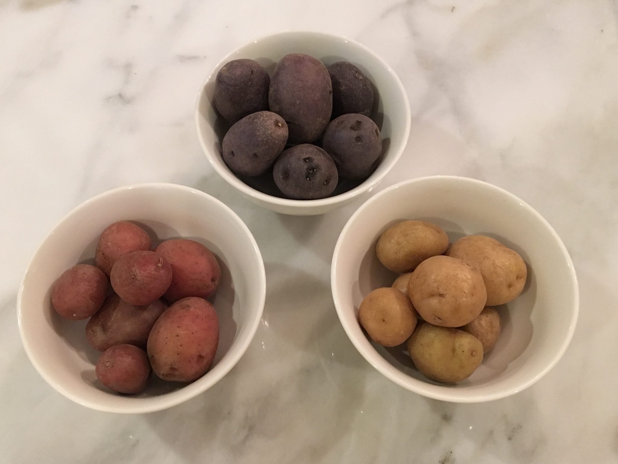Growing Potatoes : Science at Home for Kids