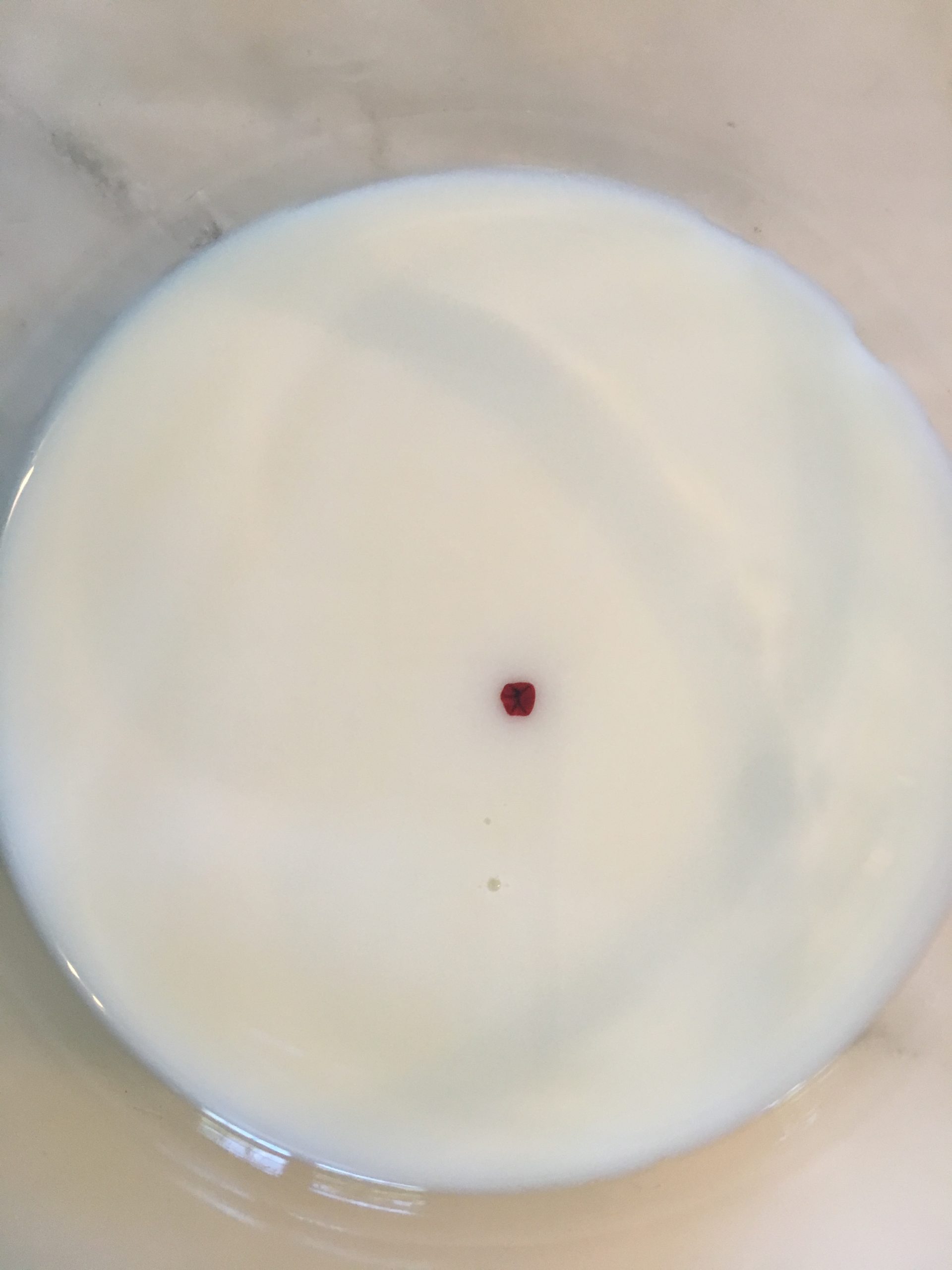 Colorful Milk Bursts : Science at Home for Kids