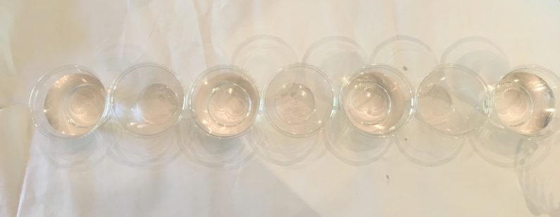 Colorful Water Mixing : Science at Home for Kids