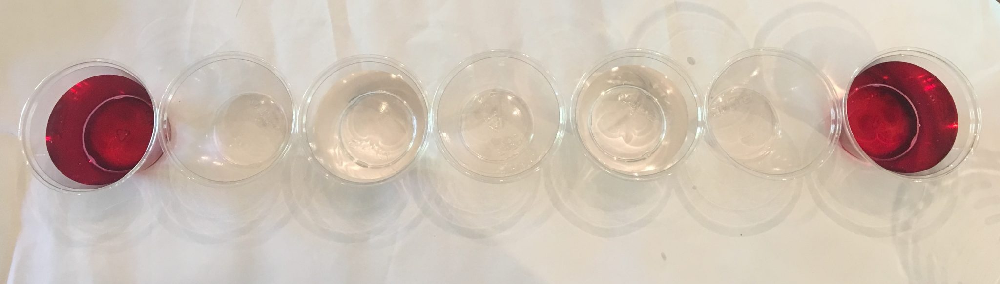 Colorful Water Mixing : Science at Home for Kids