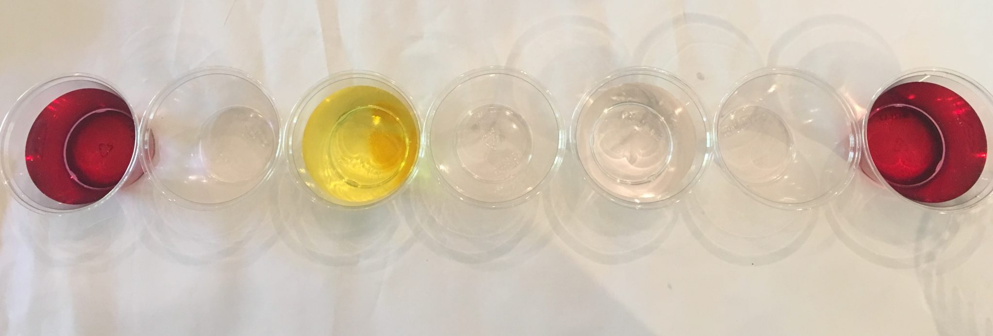 Colorful Water Mixing : Science at Home for Kids