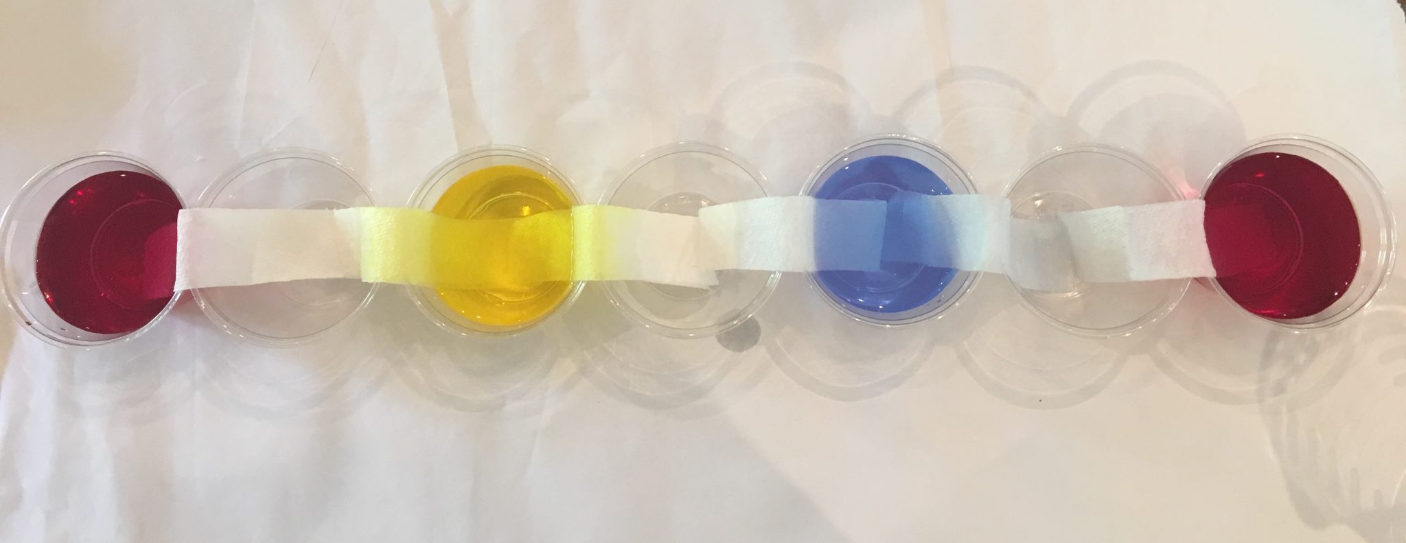 Colorful Water Mixing : Science at Home for Kids