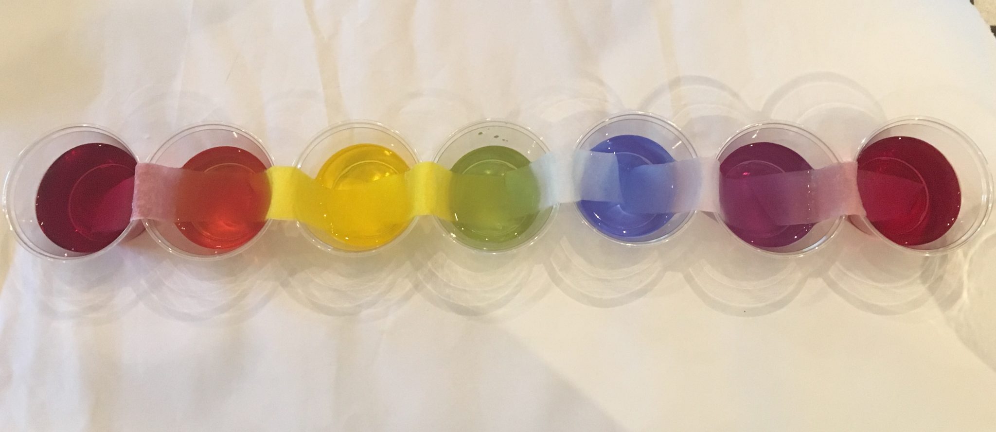 Colorful Water Mixing : Science at Home for Kids