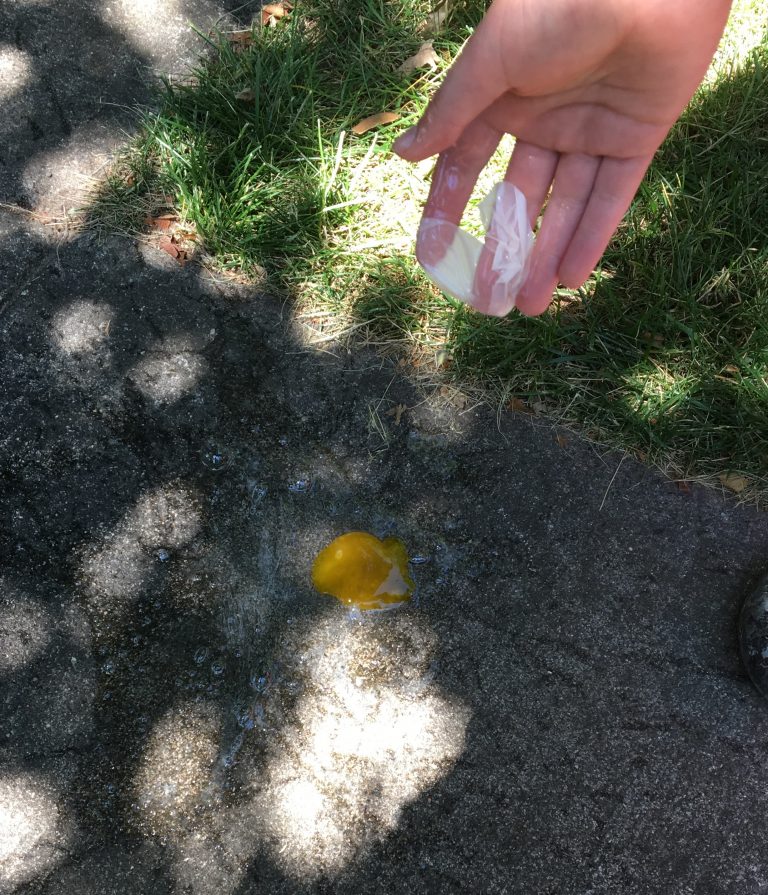 The Shell-less Egg : Science at Home for Kids