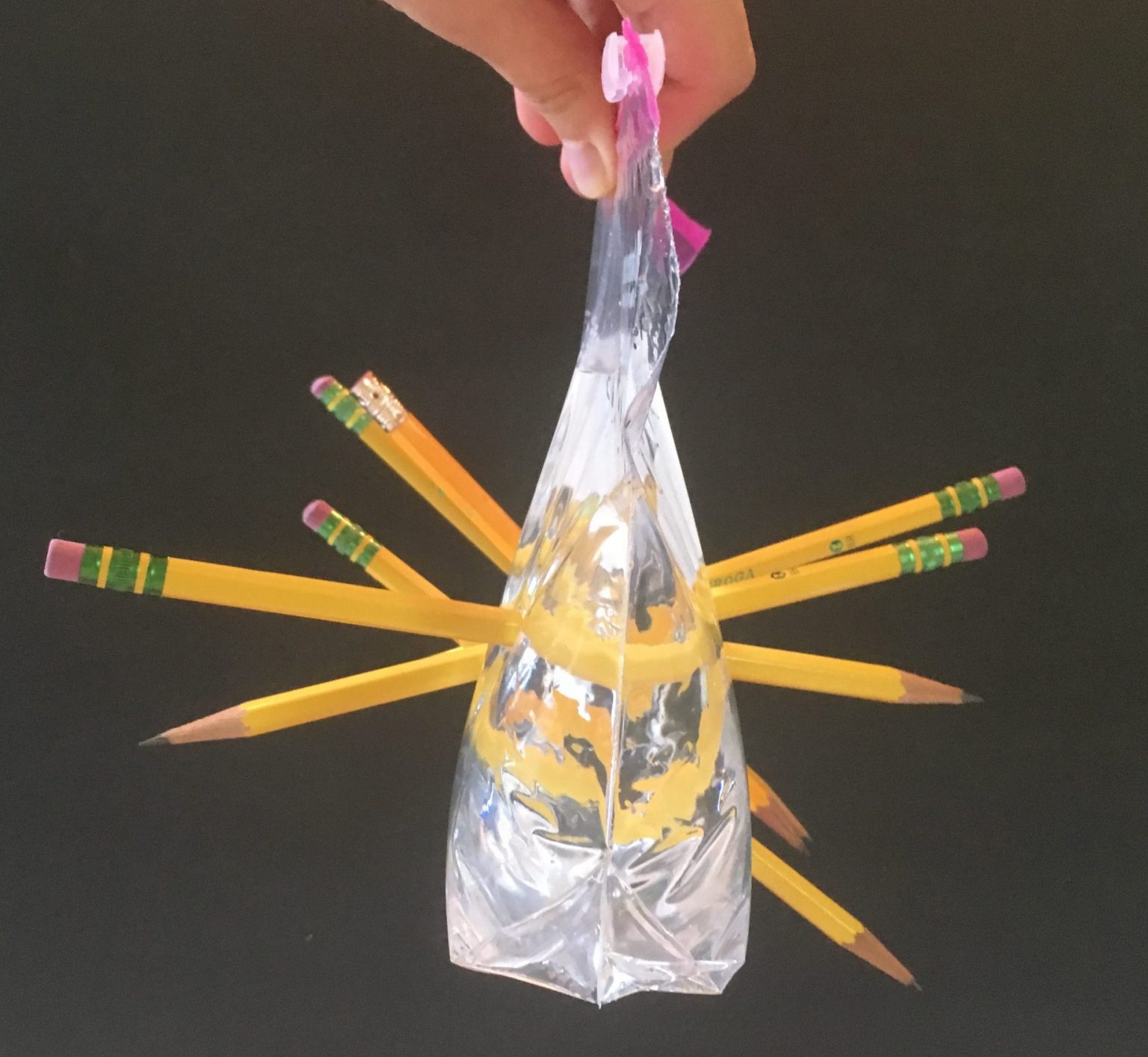 The Leak-Proof Bag : Science at Home for Kids