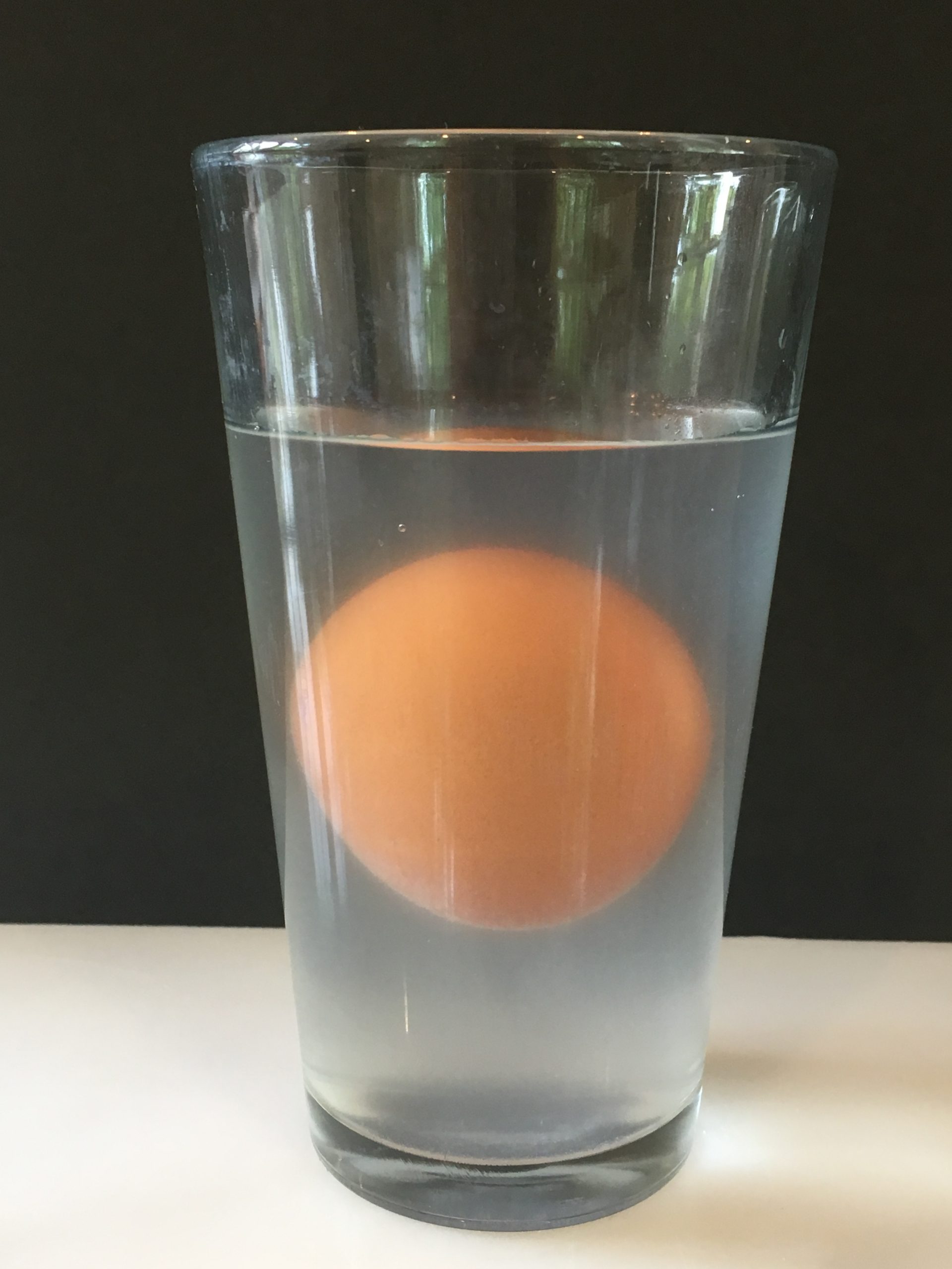 Levitating Egg : Science at Home for Kids