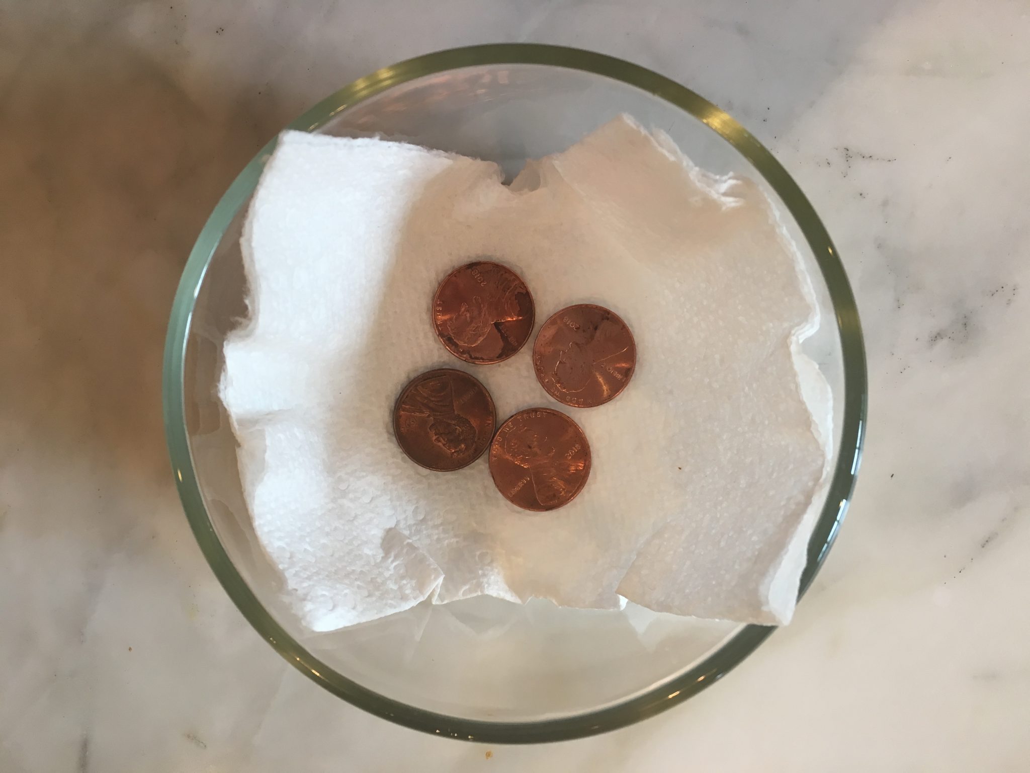 Green Pennies : Science at Home for Kids