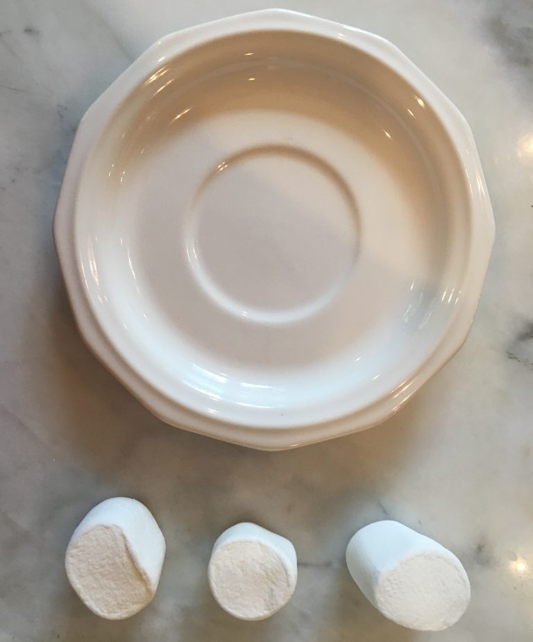 Massive Marshmallows : Science at Home for Kids