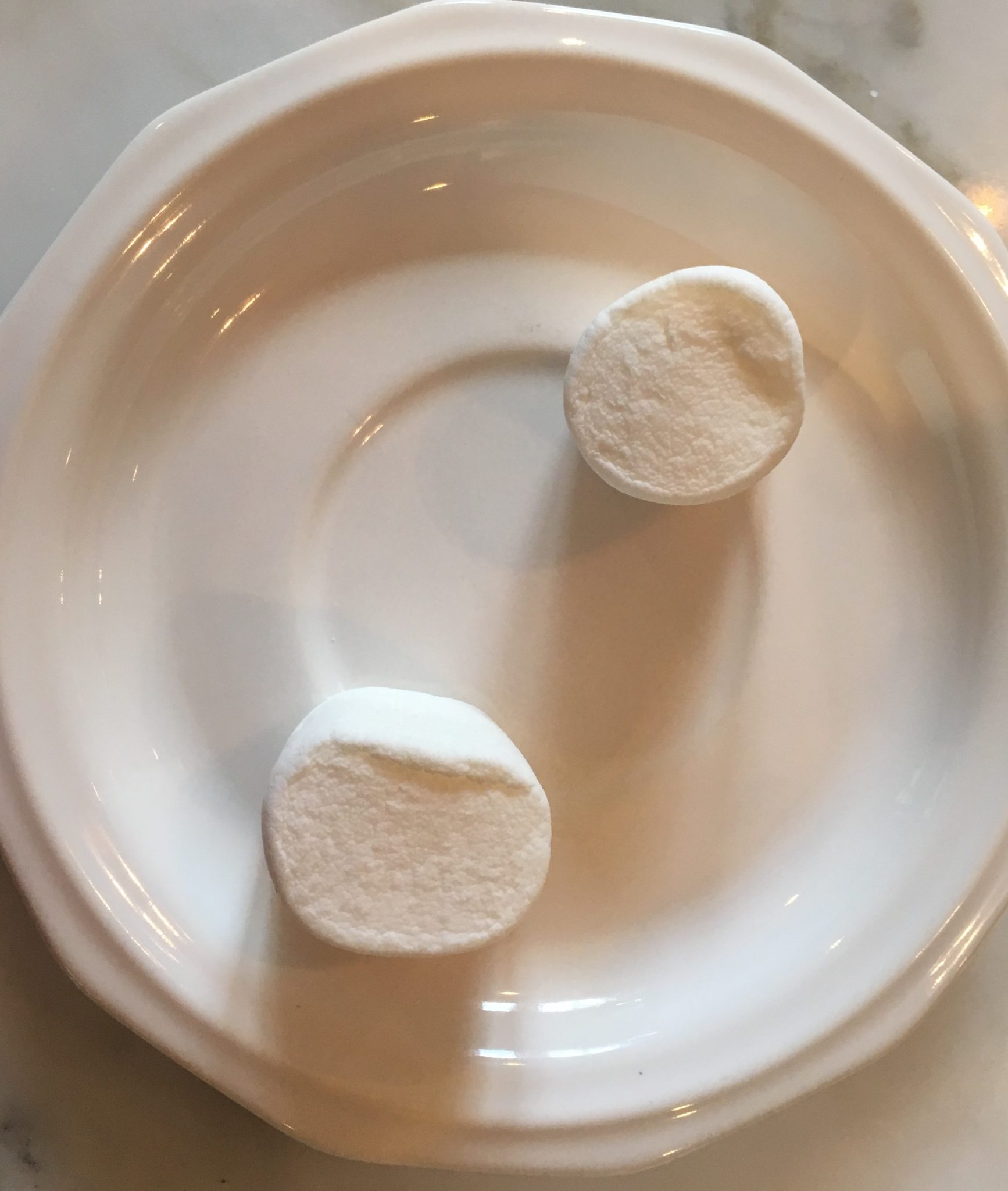Massive Marshmallows : Science at Home for Kids