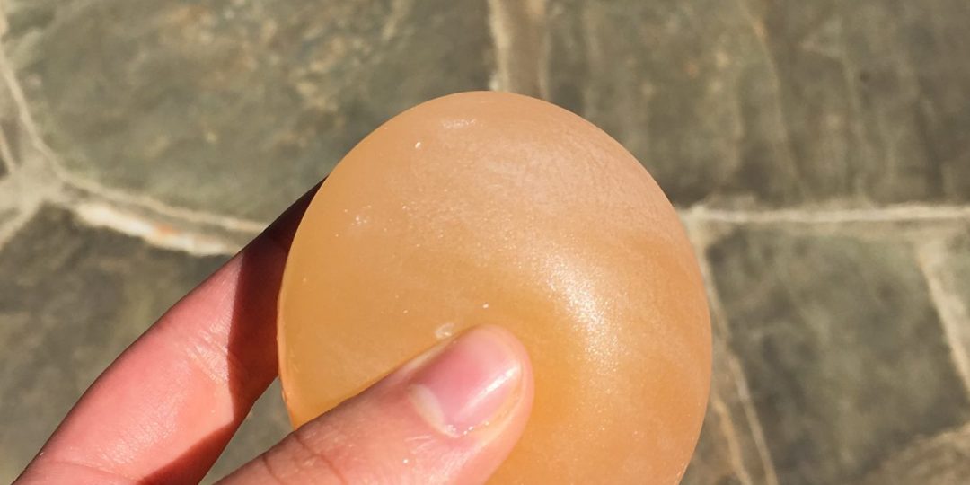 The Shell-less Egg : Science at Home for Kids