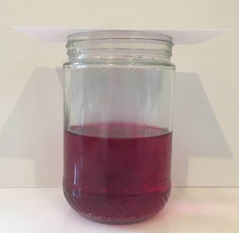 Floating water : Science at Home for Kids