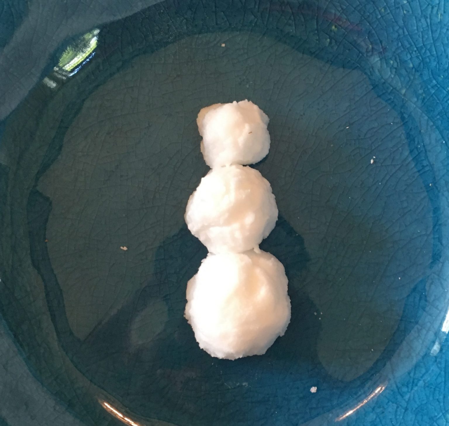 Melting Snowmen : Science at Home for Kids