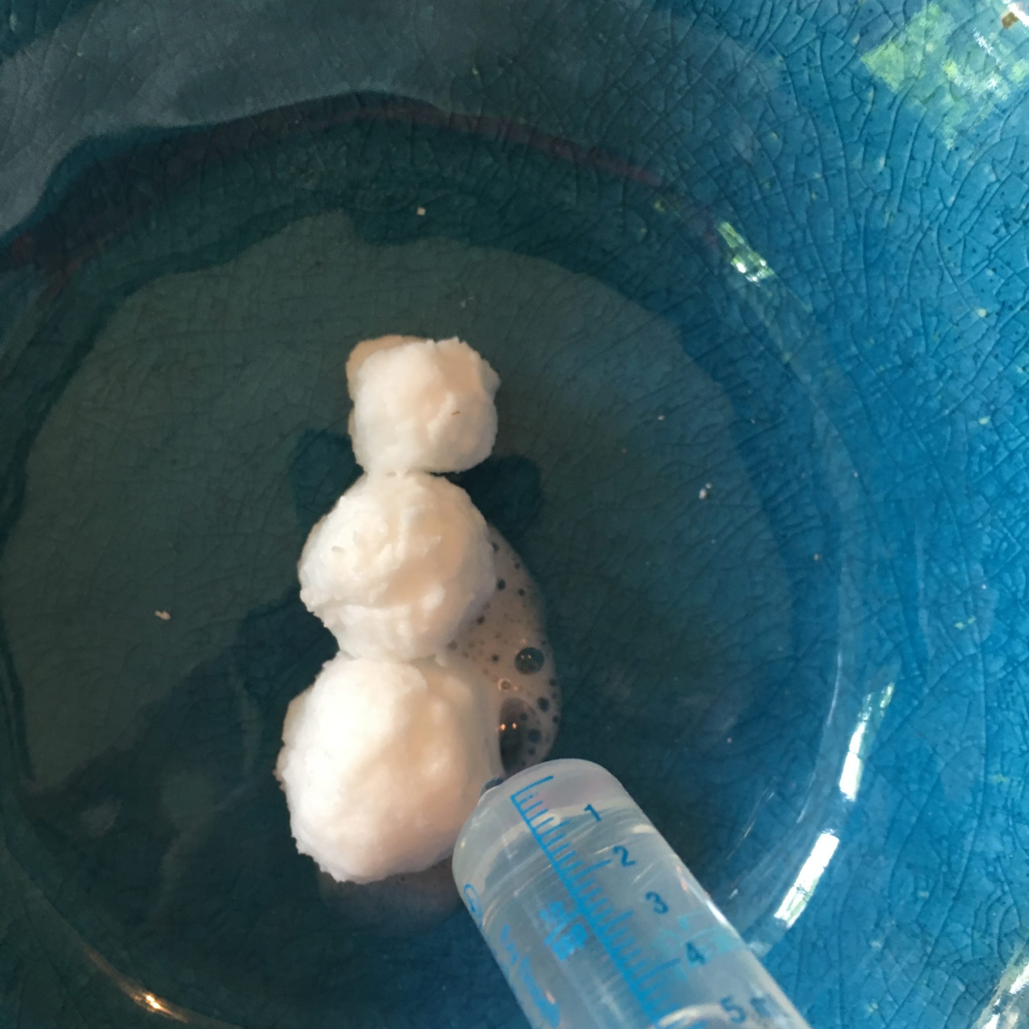 Melting Snowmen : Science at Home for Kids