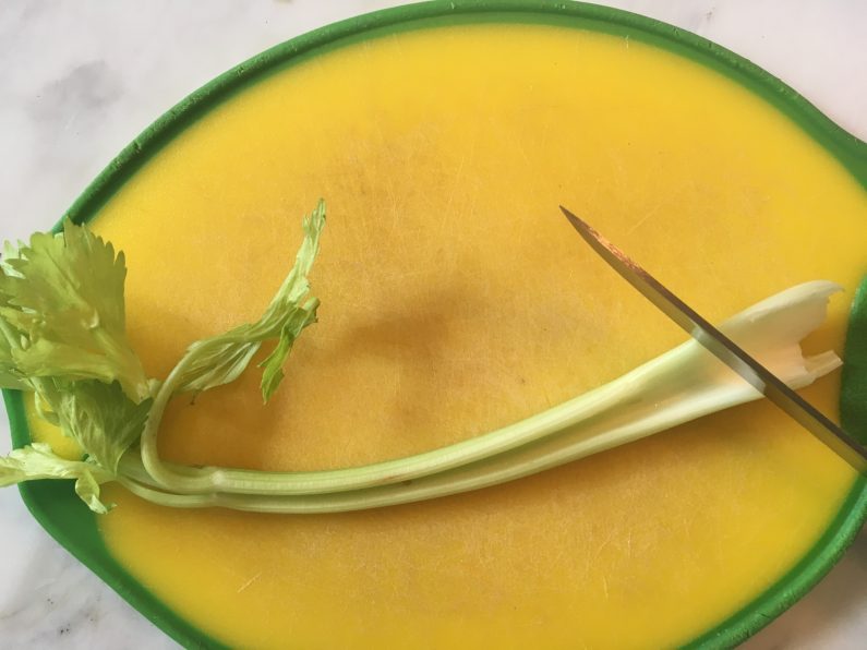 Colorful Celery : Science at Home for Kids