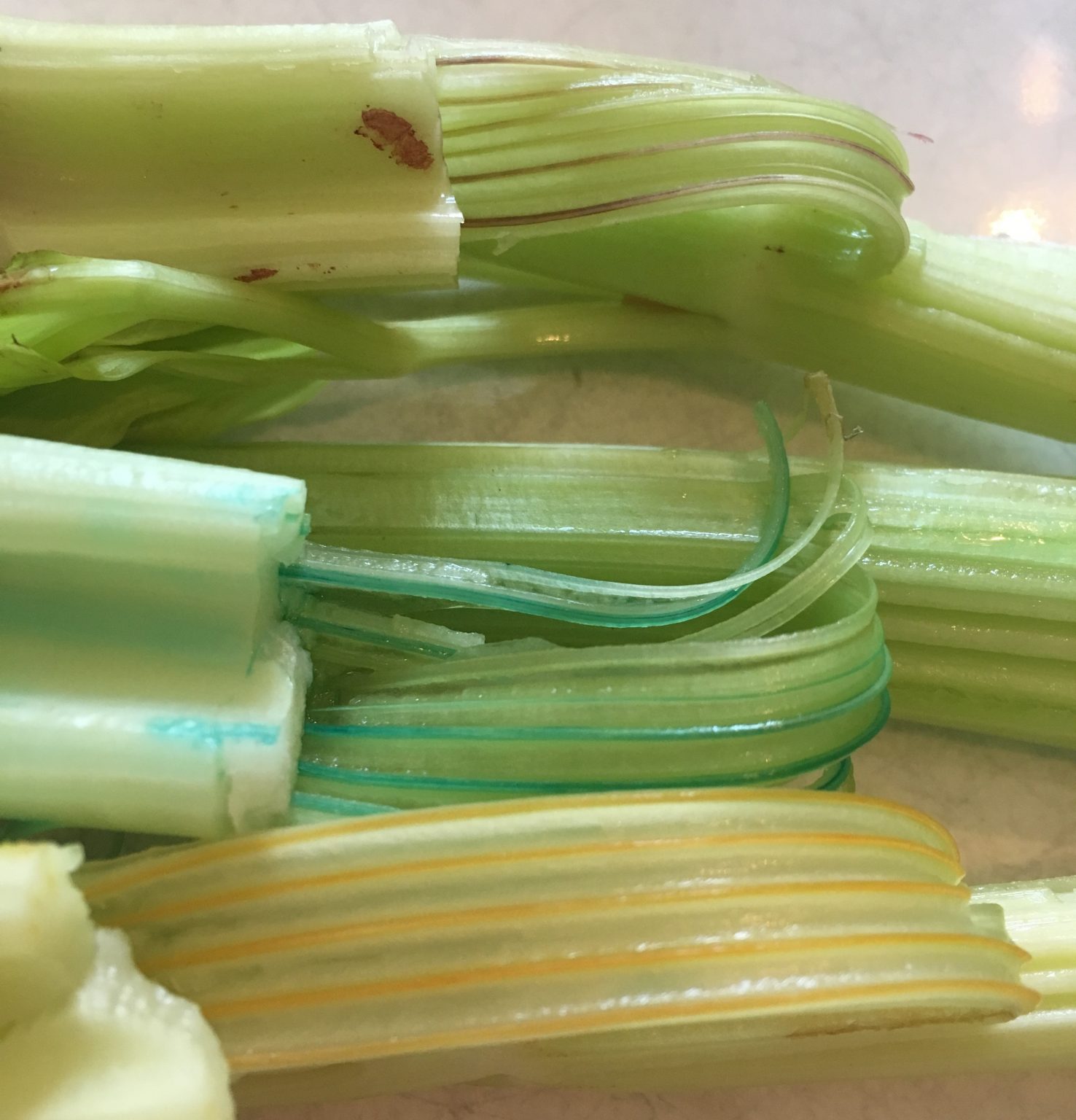 Colorful Celery : Science at Home for Kids