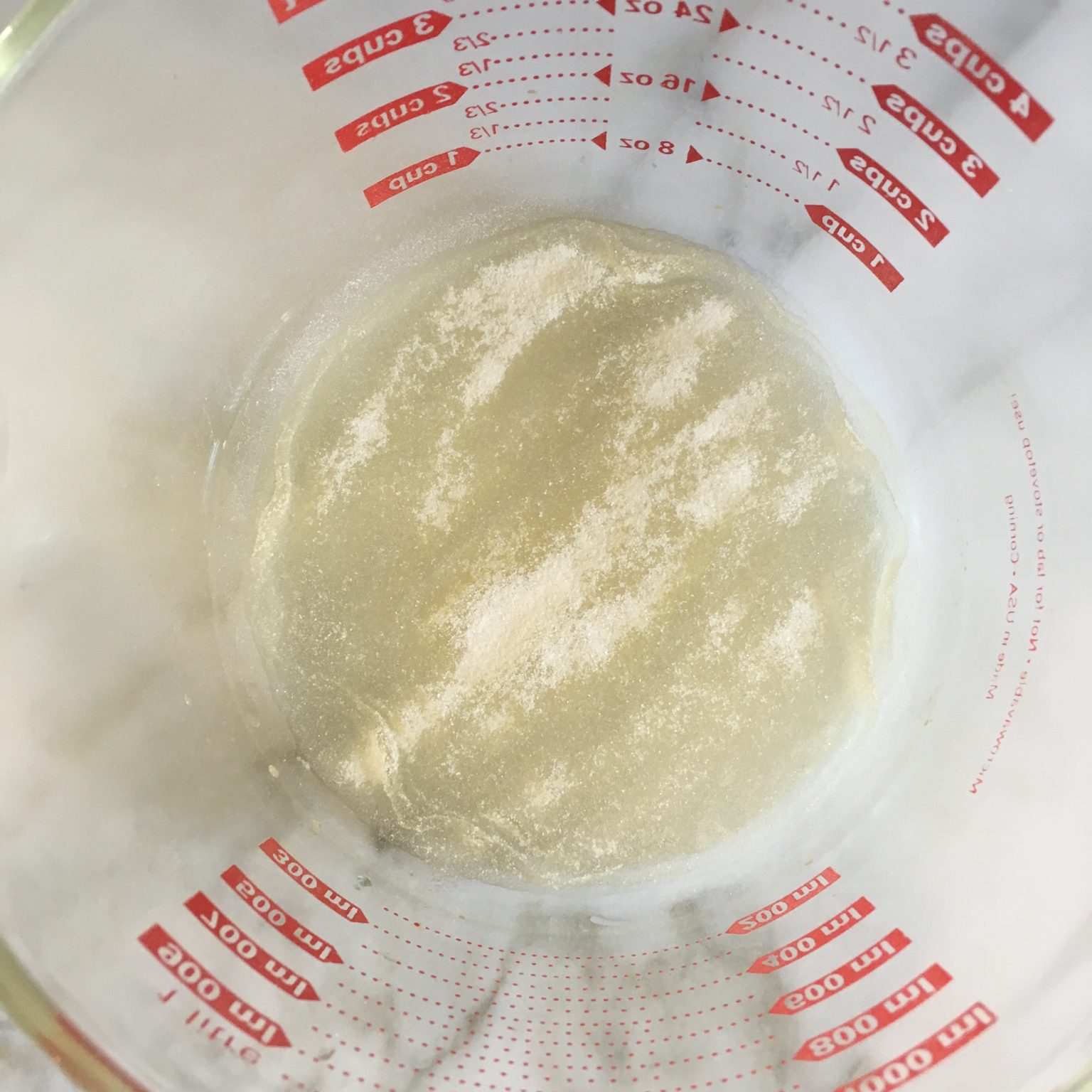 Homemade Jello : Science at Home for Kids